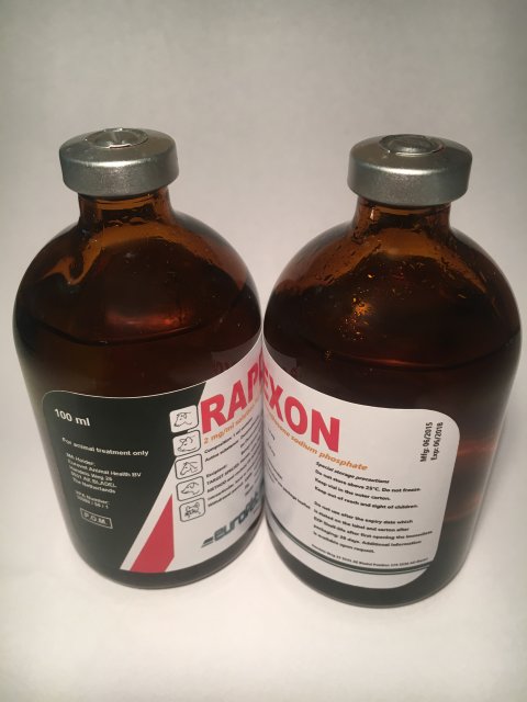 Rapidexon-dexamethasone-sodium-phosphate-horseandcamelsupplies.com-003 ...