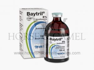 Baytril Max 10% – Bayer – 250ml | Horse & Camel Supplies